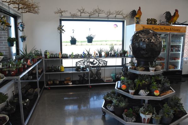 BENTLEY RIDGE TREE FARM - Updated March 2026 - 84 Photos & 13 Reviews ...