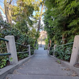 FILBERT STEPS - 444 Photos & 249 Reviews - Filbert St & Sansome St, San Francisco, California ...