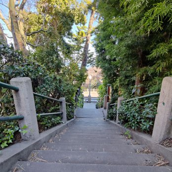 FILBERT STEPS - Updated December 2025 - 459 Photos & 250 Reviews ...