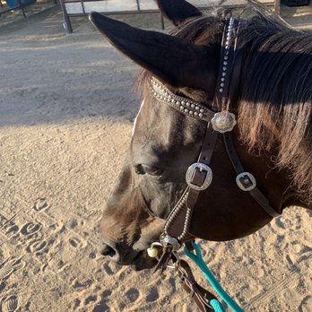 COWBOY CORNER - Updated January 2026 - 10 Reviews - 10807 N Cave Creek ...