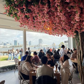 COCINA 35 - Updated June 2025 - 308 Photos & 137 Reviews - 1201 1st St ...