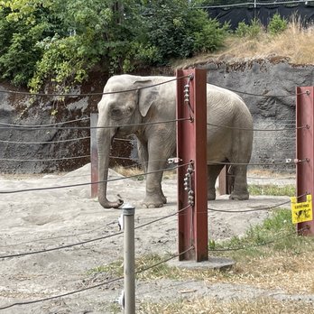 Photos of POINT DEFIANCE ZOO & AQUARIUM - Updated August 2024 - 1522 ...