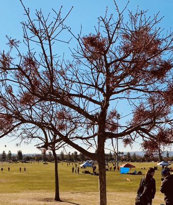 REDLANDS SPORTS COMPLEX - Updated April 2026 - 1790 N Dearborn St ...