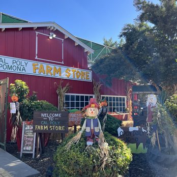 CAL POLY POMONA PUMPKIN FESTIVAL - Updated October 2024 - 571 Photos ...