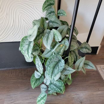 RIND SKIN & HEAD SPA - Updated January 2025 - 50 Photos & 28 Reviews ...