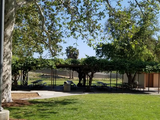 GRAPE ARBOR PARK - 17 Photos - Parks - 5100 Parkville Rd, Calabasas, CA ...