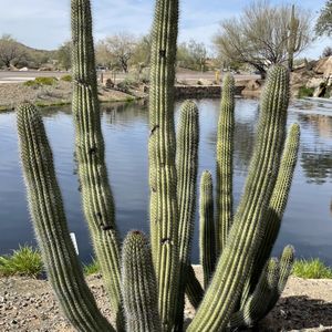 RIGHTSOURCE-HUMANA PHARMACY - Updated December 2025 - 65 Reviews - 4302 ...