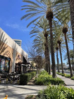 ANAHEIM GARDENWALK - 1093 Photos & 472 Reviews - 400 W Disney Way ...