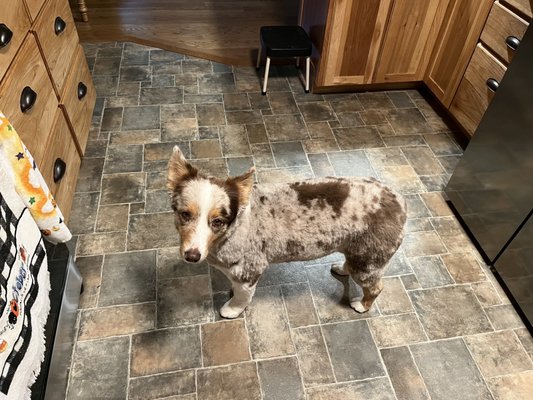 BAILEY VETERINARY CLINIC - Updated July 2025 - 24 Photos & 72 Reviews ... BAILEY VETERINARY CLINIC - Updated July 2025 - 24 Photos & 72 Reviews ...