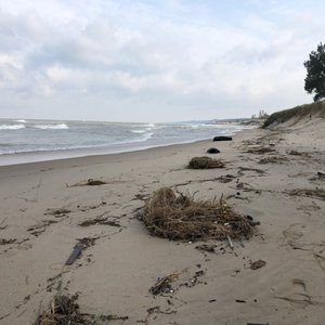 OVAL BEACH - 140 Photos & 85 Reviews - 698 Water St, Saugatuck ...