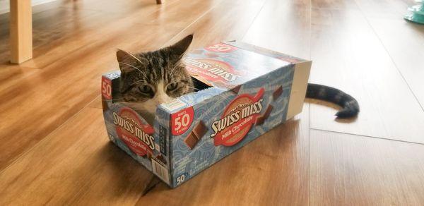 CATFE MONTCLAIR - Updated July 2025 - 18 Photos & 10 Reviews - 356 ...