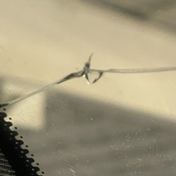 SAFELITE AUTOGLASS - Updated December 2025 - 21 Photos & 22 Reviews ...