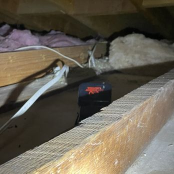 360 RODENT CONTROL - Updated September 2025 - 53 Photos - Escondido ...