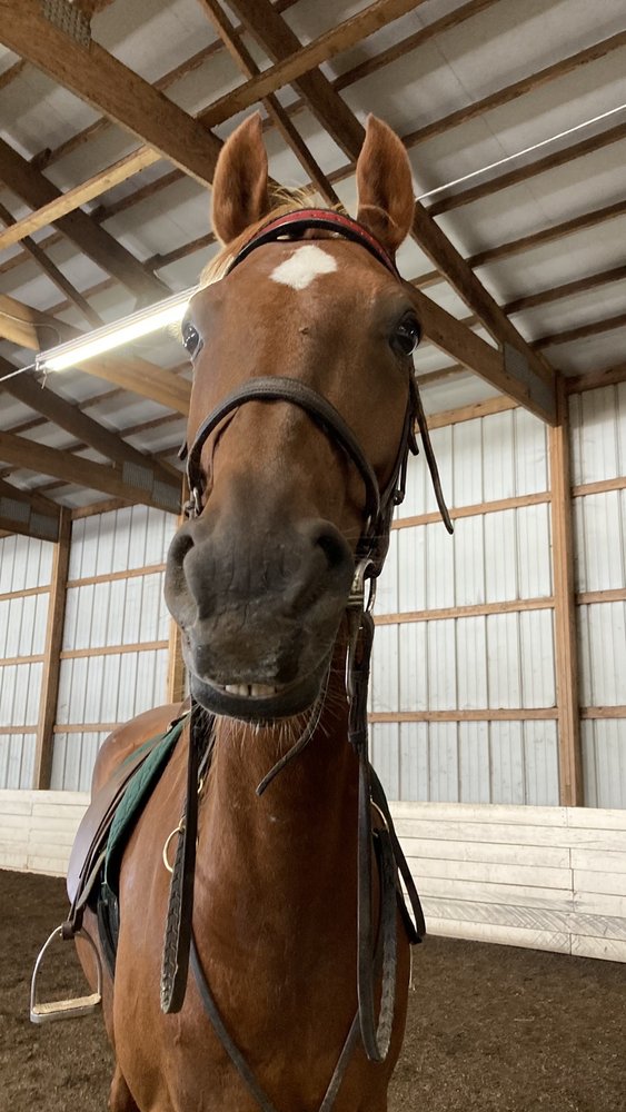 CROSS CREEK STABLES - Updated November 2025 - 76 Photos & 11 Reviews ...