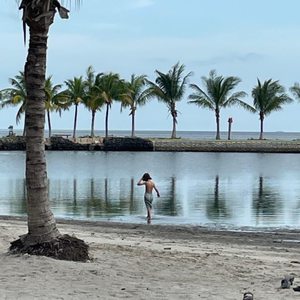 NOMA BEACH AT REDFISH - 150 Photos & 82 Reviews - 9610 Old Cutler Rd ...