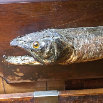 WESTLINE INN - Updated June 2024 - 16 Photos & 21 Reviews - 15 El Day ...