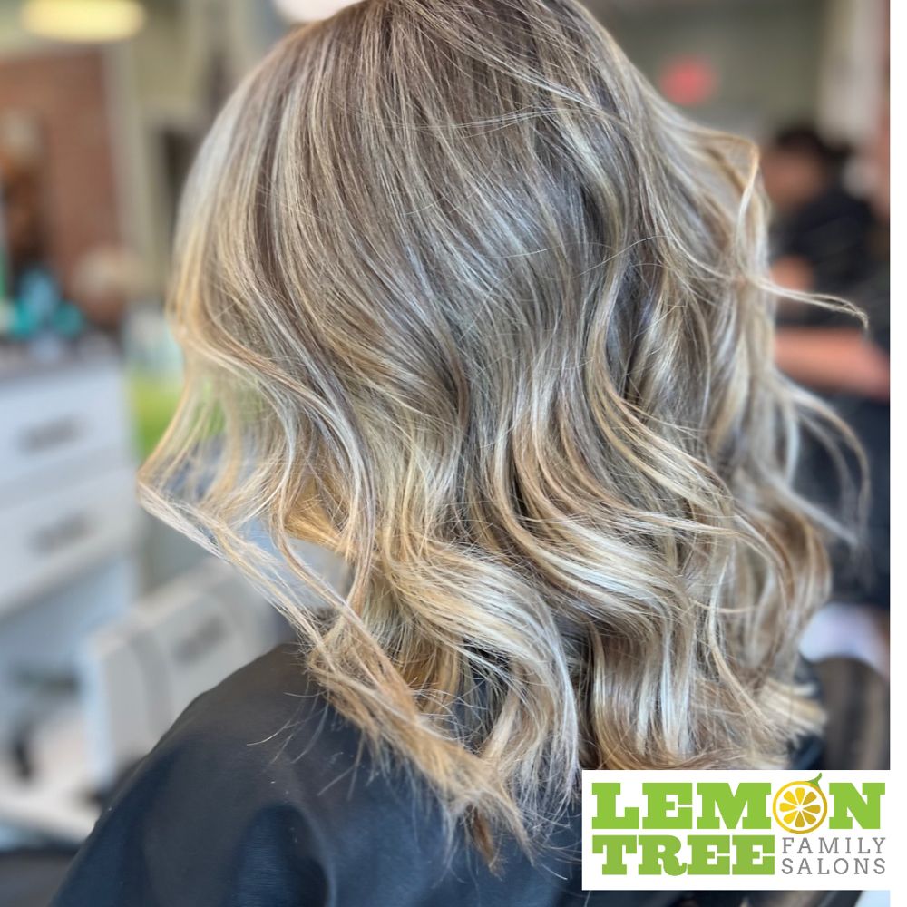 LEMON TREE - Updated December 2025 - 118 Photos & 62 Reviews - 411 ...