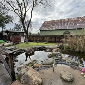 FOSSIL DISCOVERY CENTER OF MADERA COUNTY - Updated July 2025 - 145 ...