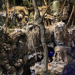 HINTON PRIMITIVES - Updated December 2025 - 9832 Stump Rd, Minerva ...