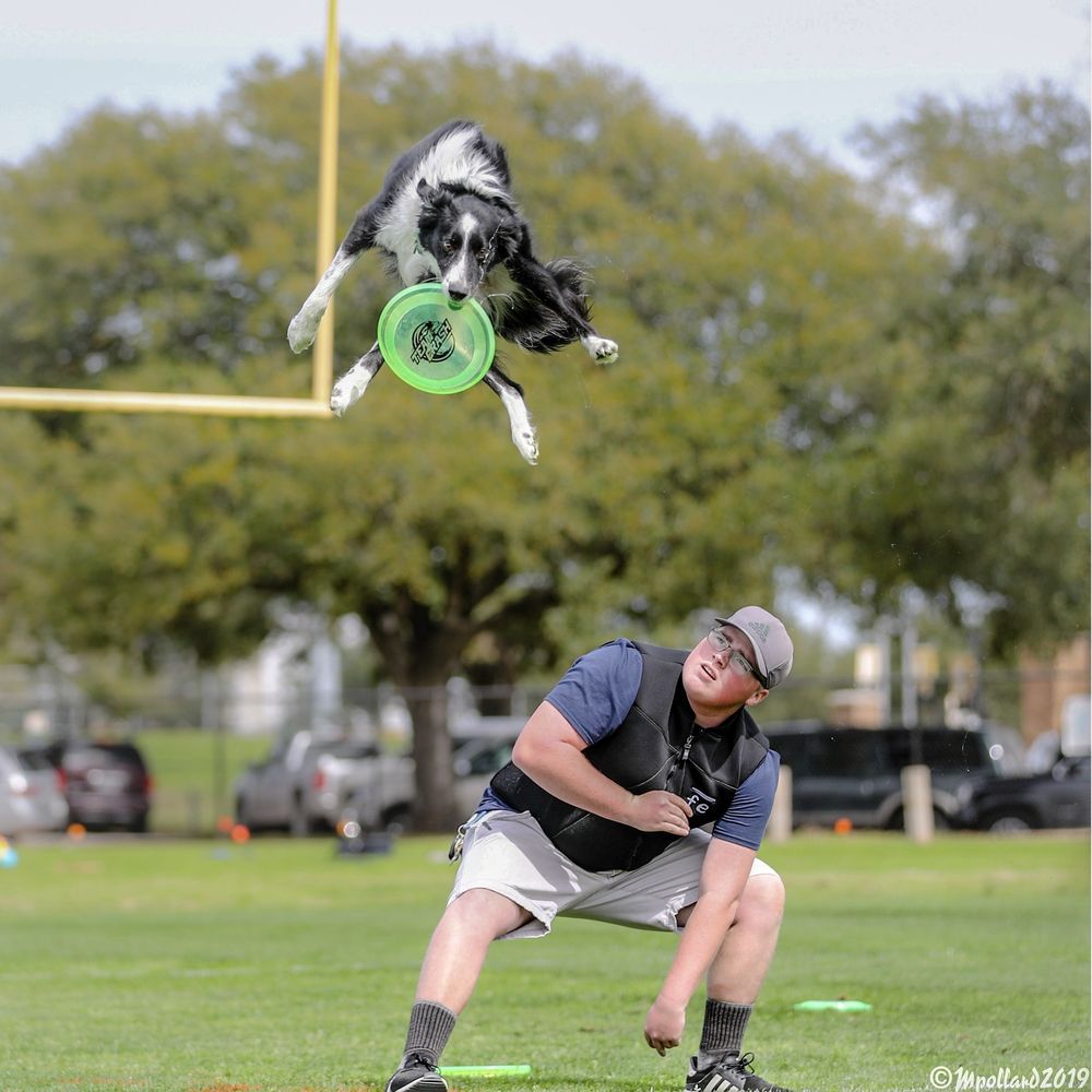 HERO DISC USA - Updated May 2024 - 8560 Oakwood Pl, Rancho Cucamonga ...