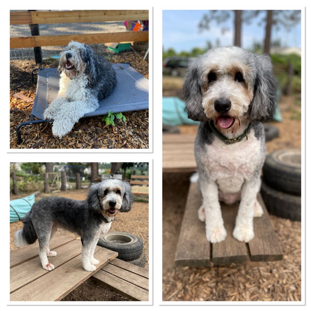 LOST COUNTRY FARM - Updated October 2025 - 16 Photos - Tigard, Oregon ...