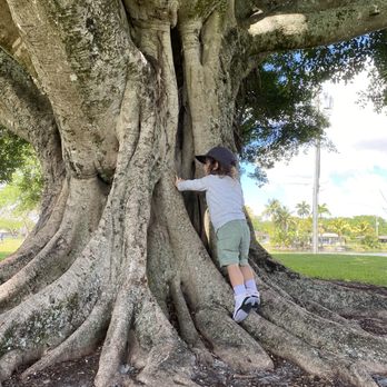 FIG TREE PARK - Updated August 2025 - 33 Photos - 620 S Fig Tree Ln ...