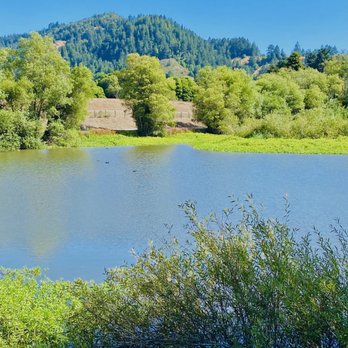 CASINI RANCH FAMILY CAMPGROUND - Updated July 2024 - 515 Photos & 525 ...