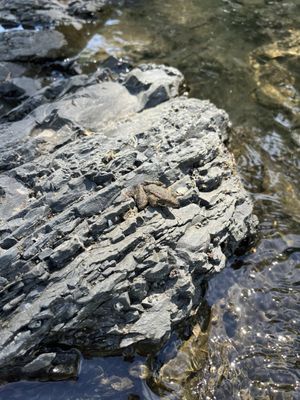 R-WILD HORSE RANCH - Updated September 2025 - 79 Photos & 25 Reviews ...