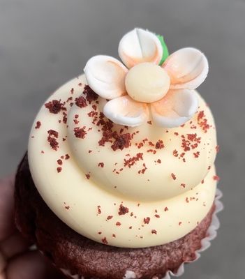 CAKED UP CAFE - Updated August 2025 - 248 Photos & 213 Reviews - 40 S ...