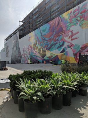 ANDRE LANDSCAPE SERVICE - Updated August 2025 - 25 Photos & 41 Reviews ...