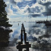 THE BARNACLE HISTORIC STATE PARK - 386 Photos & 67 Reviews - 3485 Main ...