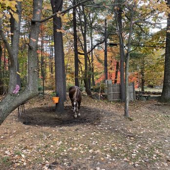 LUCKY 7 STABLES - Updated September 2025 - 54 Photos & 51 Reviews - 154 ...