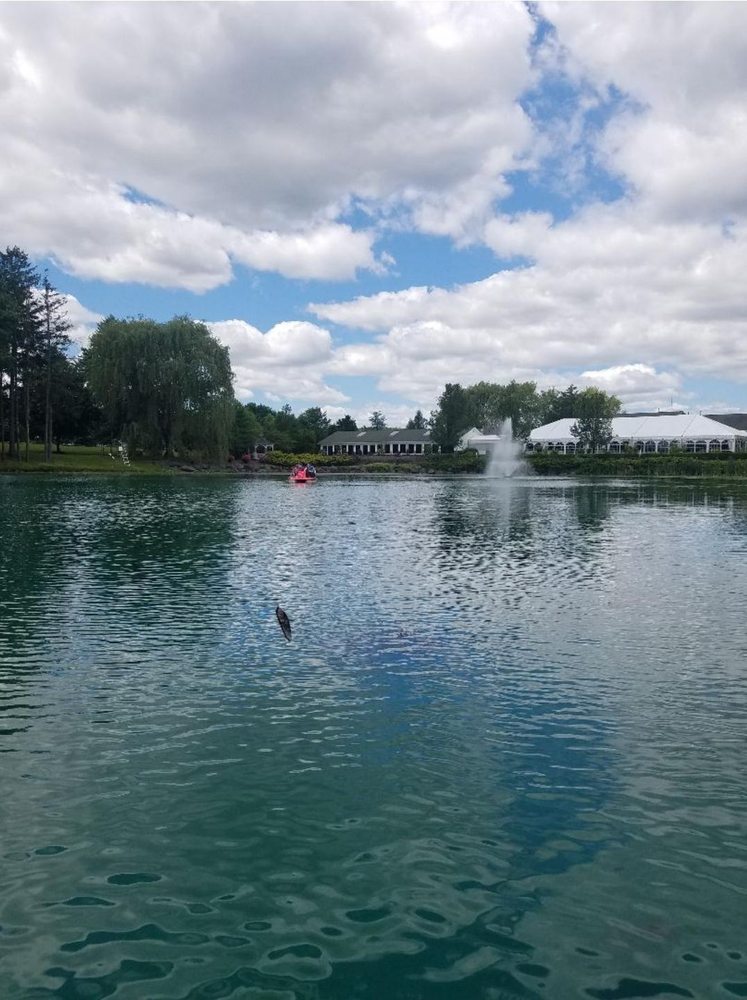 FROGBRIDGE PICNICS & EVENTS - Updated December 2025 - 37 Photos - 7 ...