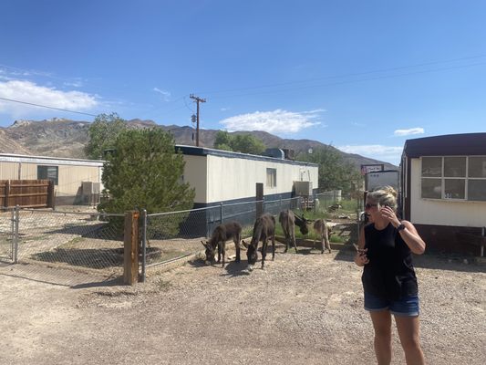 DEATH VALLEY INN & RV PARK - 23 Photos & 66 Reviews - 651 Hwy 95 S ...