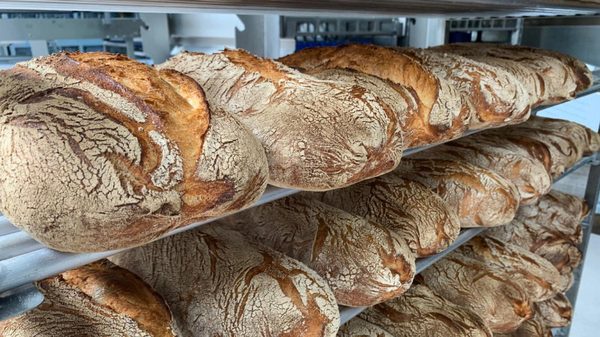 HUDSON BREAD - Updated August 2025 - 90 Photos & 48 Reviews - 5601-5711 Tonnelle Ave, North ...