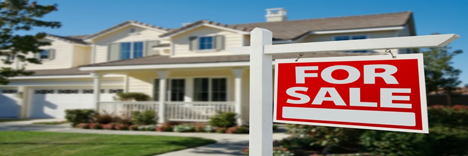 BLUE DIAMOND REALTY - Updated January 2025 - 24044 Cinco Village Center ...