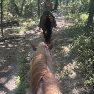 WESTCREEK TRAIL RIDES - 74 Photos & 64 Reviews - Horseback Riding ...