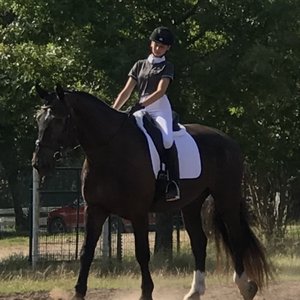 CROSS CREEK STABLES - 75 Photos - 2200 NW 192nd St, Edmond, Oklahoma ...