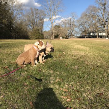 GORDON ANIMAL CLINIC - Updated January 2026 - 17 Photos & 16 Reviews ...