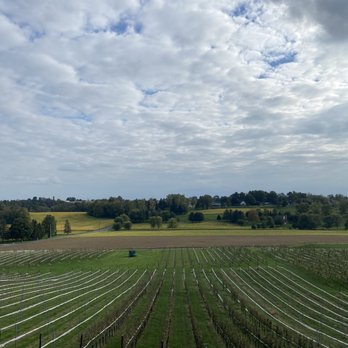 GRANDVIEW VINEYARD - Updated June 2025 - 124 Photos & 63 Reviews - 1489 ...