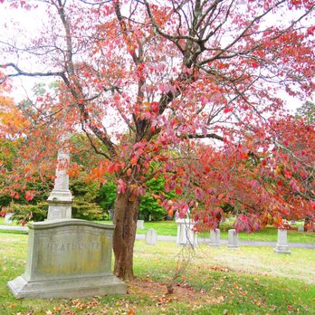 SWAN POINT CEMETERY - Updated October 2025 - 75 Photos & 34 Reviews ...