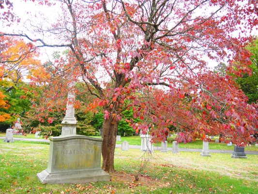 SWAN POINT CEMETERY - Updated October 2024 - 75 Photos & 34 Reviews ...