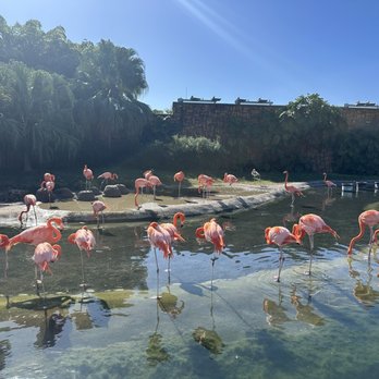 ZOO MIAMI - Updated November 2025 - 3796 Photos & 1050 Reviews - 12400 ...