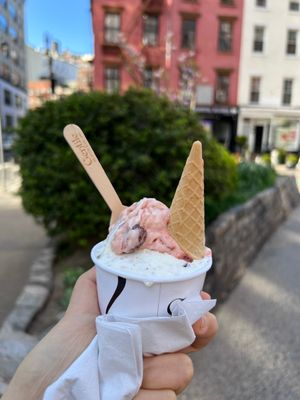 GELATERIA GENTILE - Updated March 2025 - 137 Photos & 96 Reviews - 43 ...