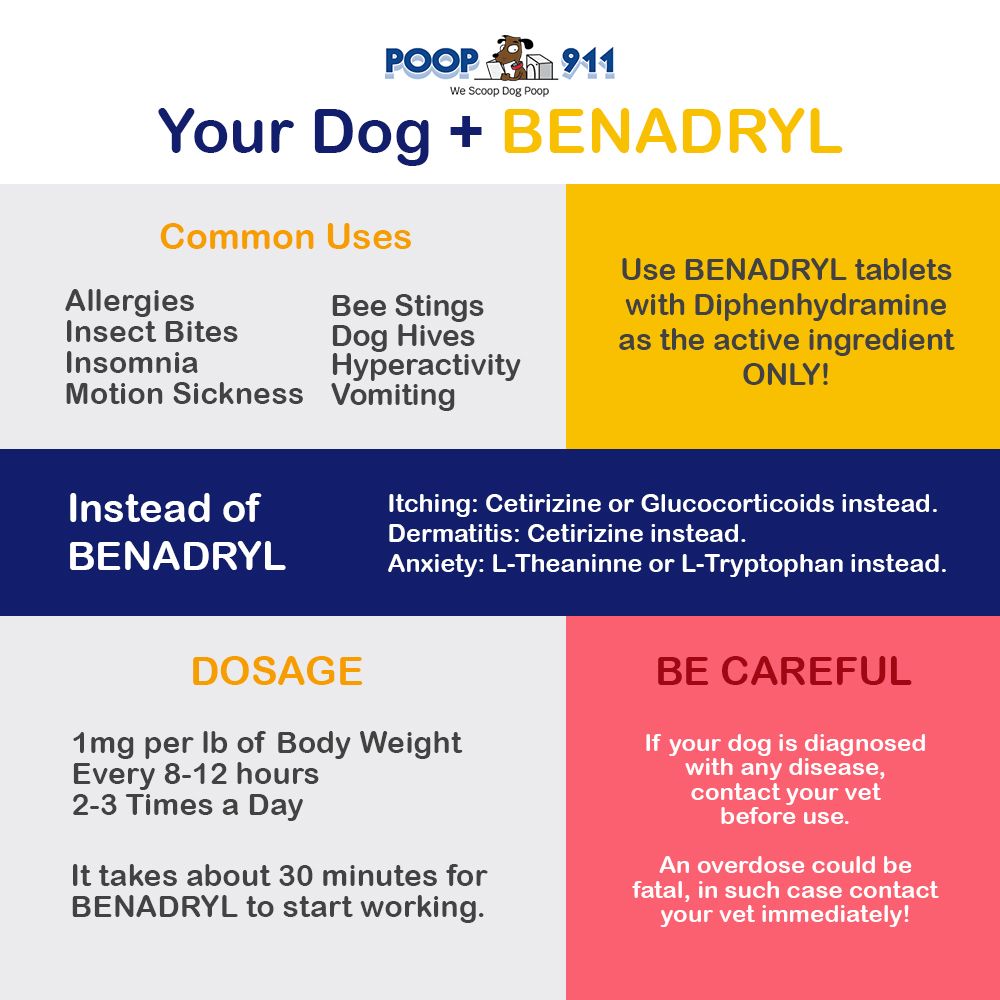 POOP 911 - Updated December 2024 - Request a Quote - 10 Photos ...