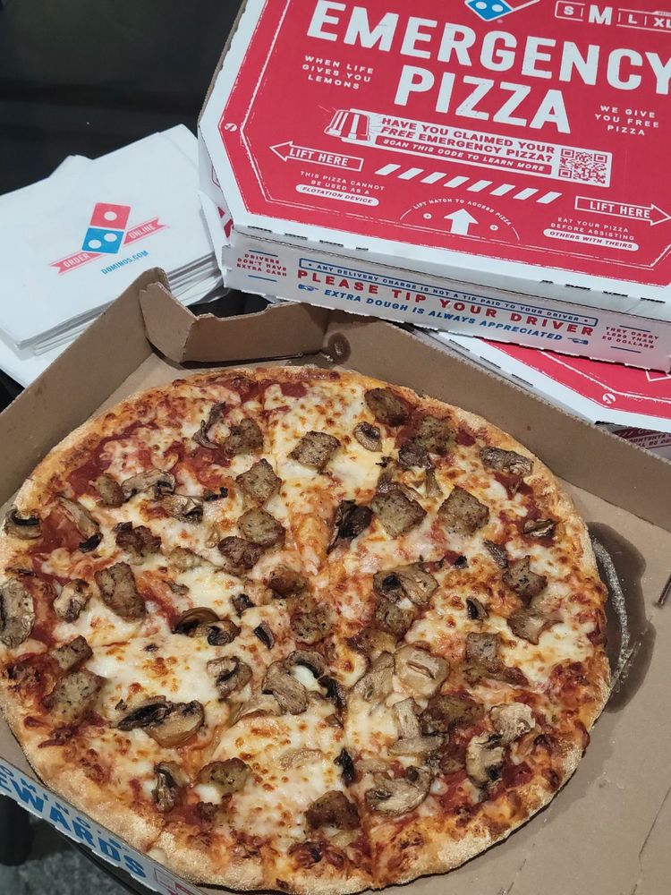 DOMINO’S PIZZA - Updated August 2024 - 10 Reviews - 6947 Linda Vista Rd ...