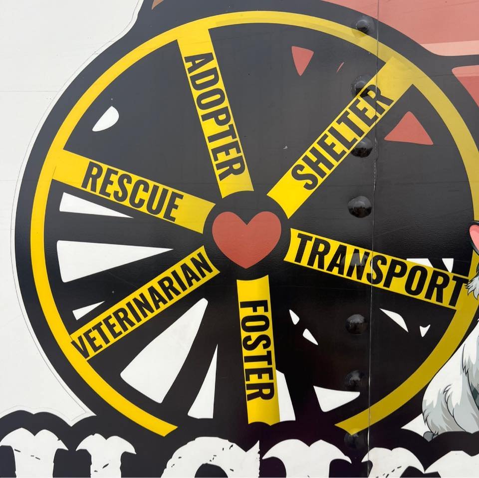 LUCKY TAILS EXPRESS - Updated January 2026 - Spring, Texas - Pet ...