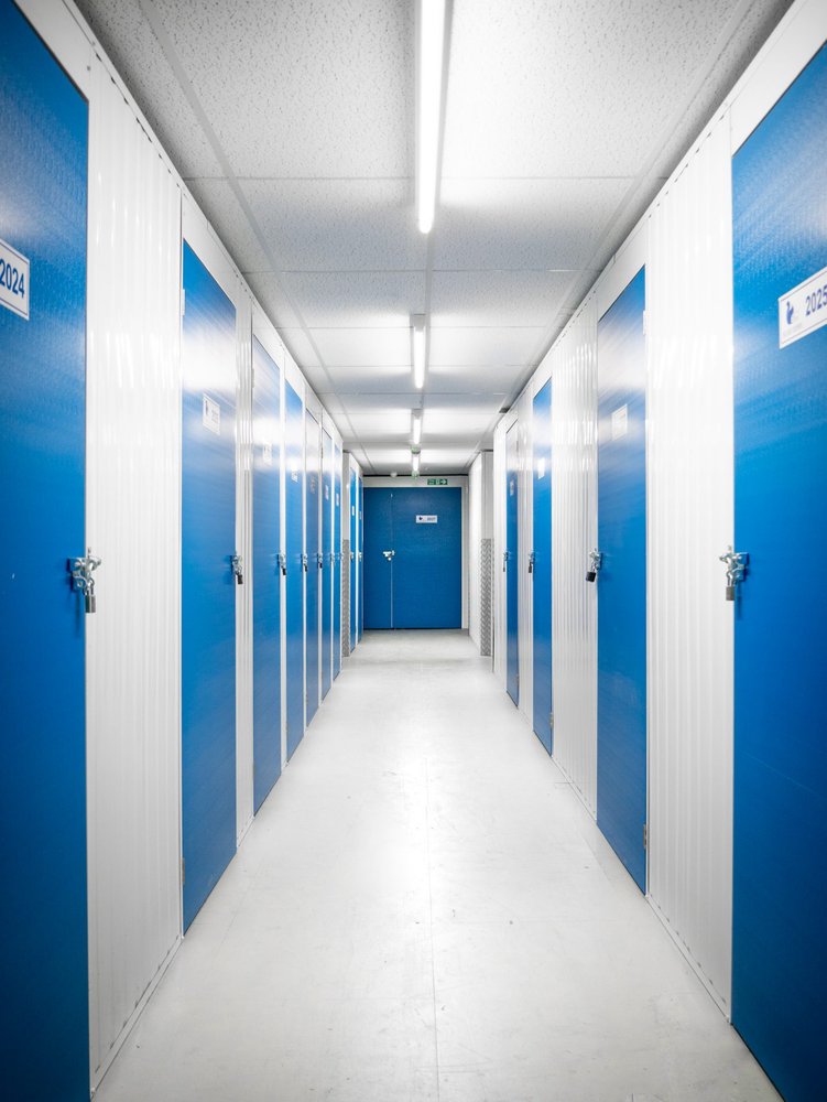 BIG BLUE SQUIRREL - Updated November 2025 - 690 London Road, Grays ...