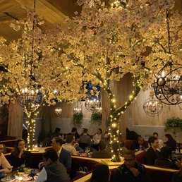 LUPESSA - Updated October 2025 - 612 Photos - 248 Reviews - 156 S 400th ...