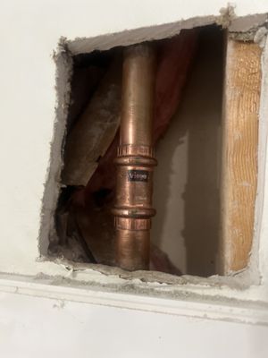 The Curly Headed Plumber - Updated January 2026 - 15 Photos - 14 ...